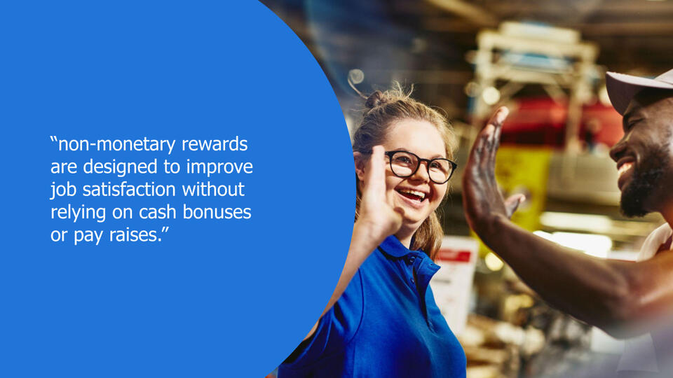 Beyond salary – an introduction to cost-effective incentives and non ...
